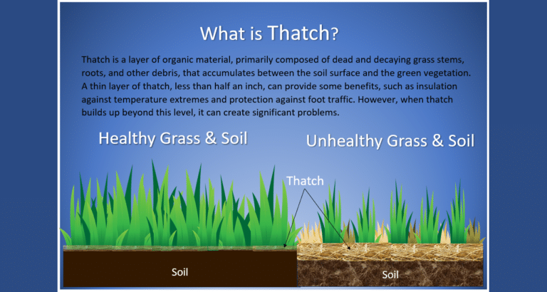 "Breaking Down Thatch: Strategies for Healthier Sod" - Sodmasters